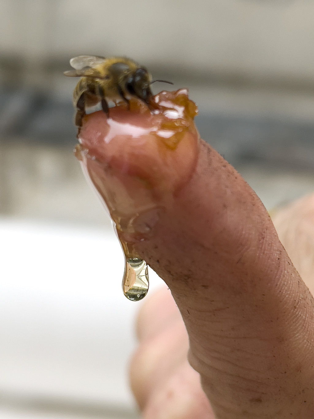 Beauty according to... Michèle Lamy. - System beauty Issue 1 - System ...