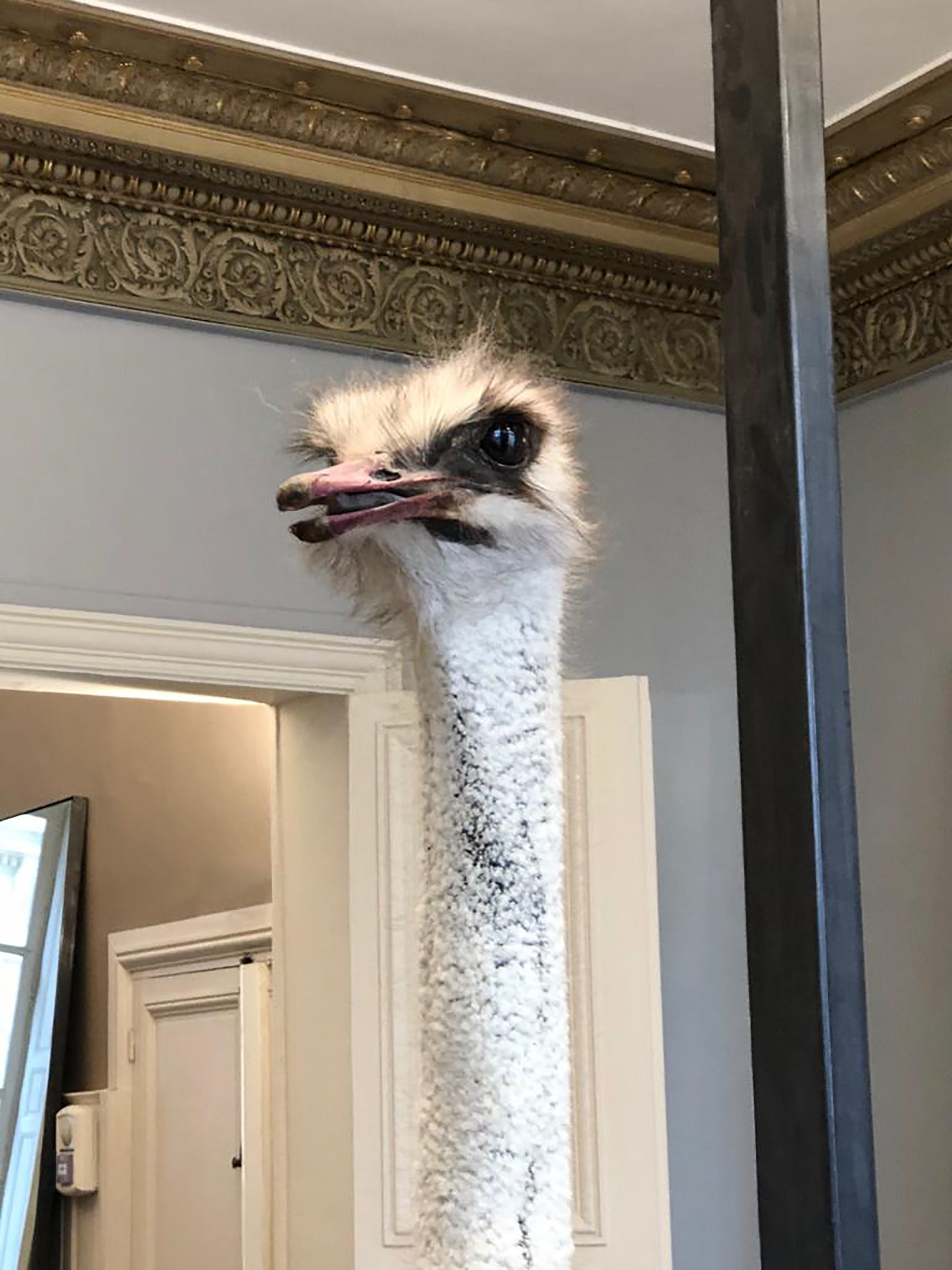 Album. Haider Ackermann. - Issue 13 - System Magazine