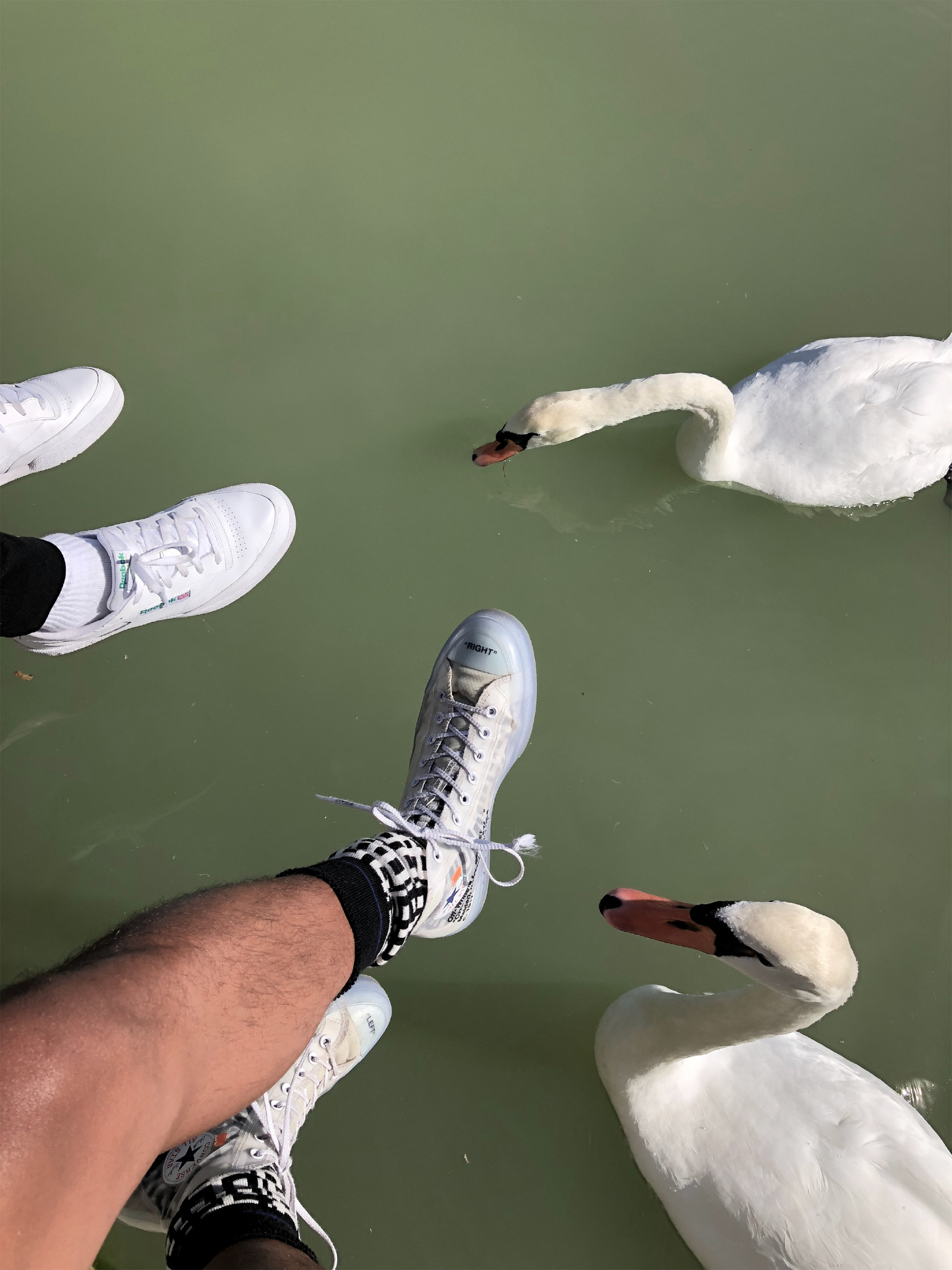 Album. Haider Ackermann. - Issue 13 - System Magazine