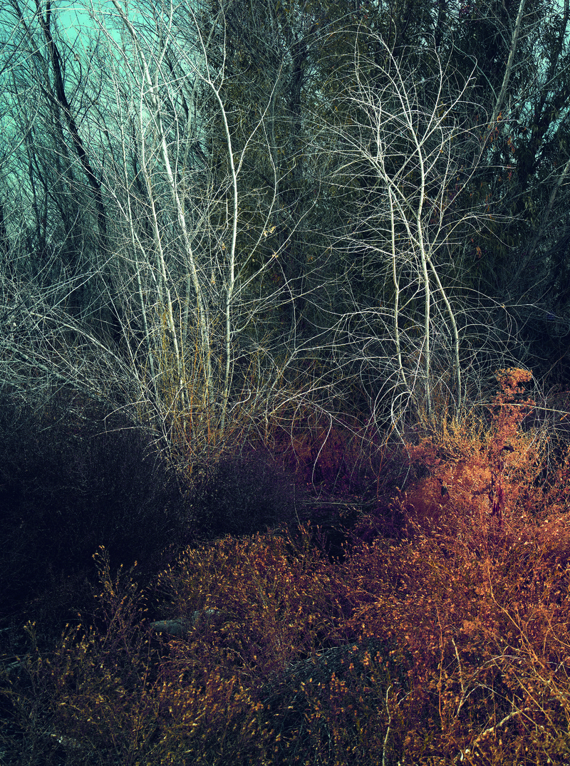 What are we looking at? Fabien Baron - Issue 15 - System Magazine