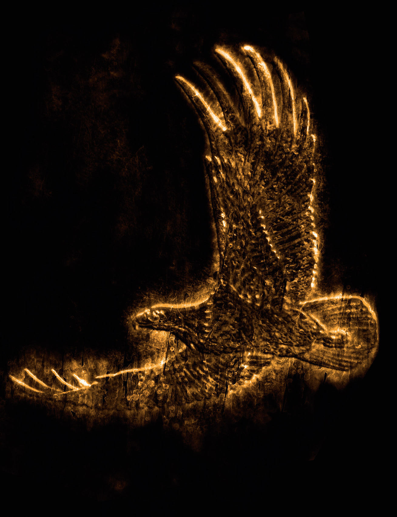 A letter from… Los Angeles: Mr. Whitley’s town. - Issue 4 - System Magazine